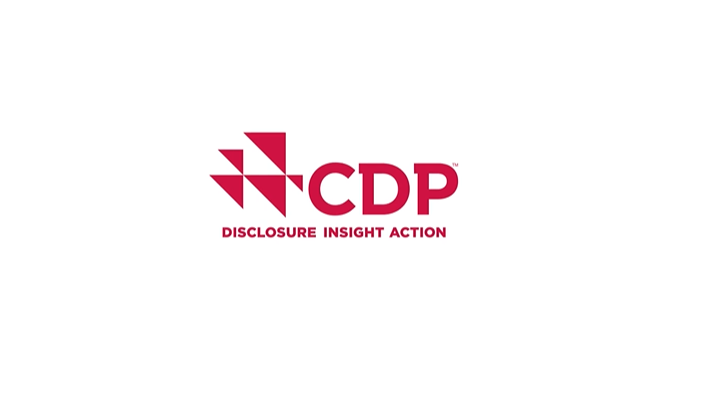 【最新版】CDPとは？概要とスコアAリスト企業の紹介 - 環境エネルギー事業協会